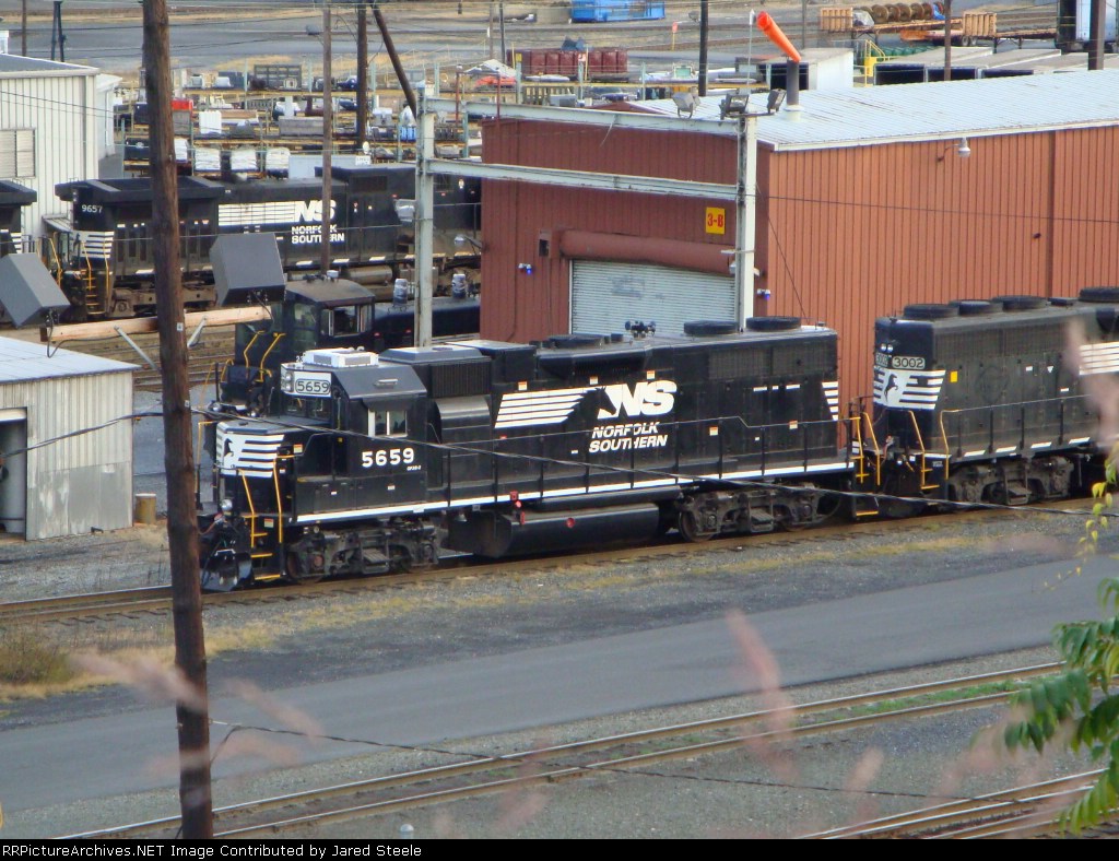 NS 5659
